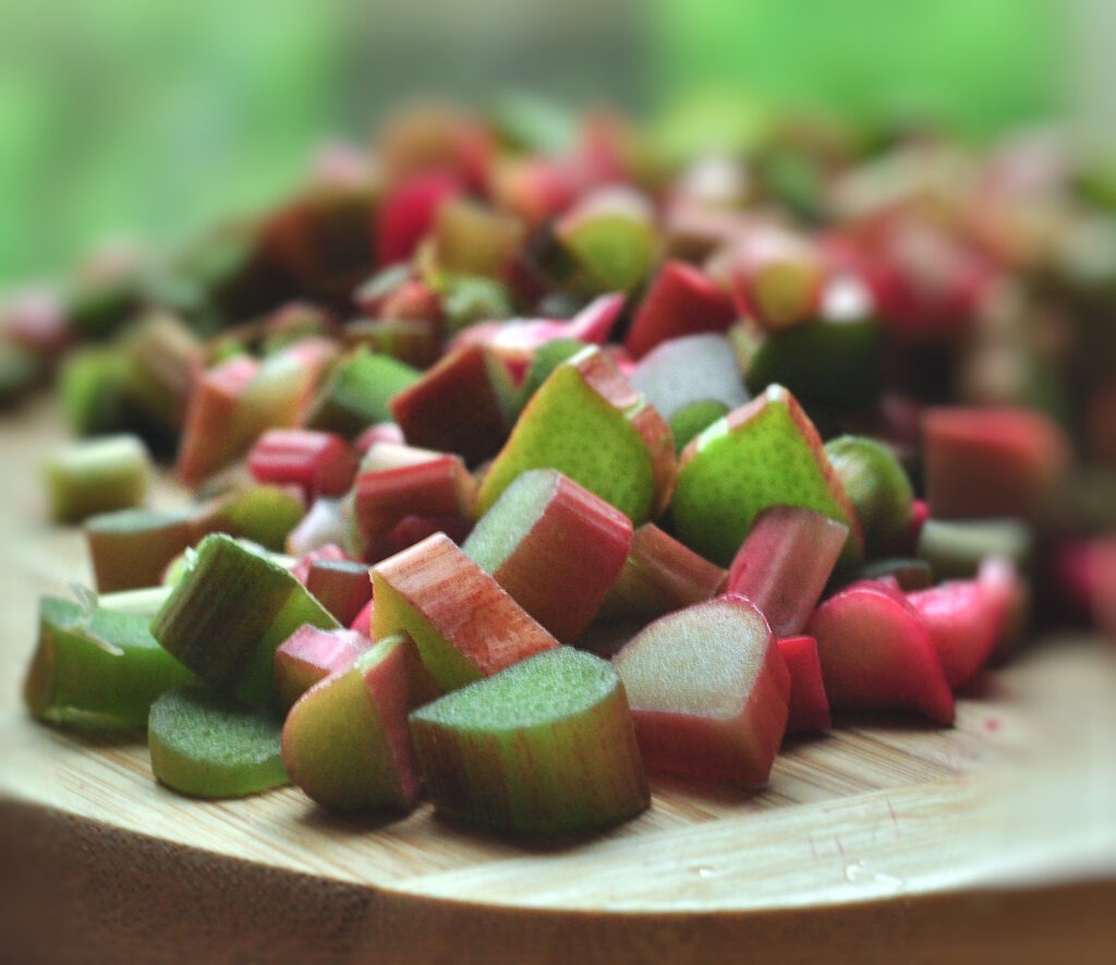 Easy Rhubarb Cake - The Creekside Cook