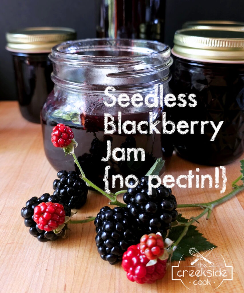Seedless Blackberry Jam {no pectin recipe} - The Creekside Cook